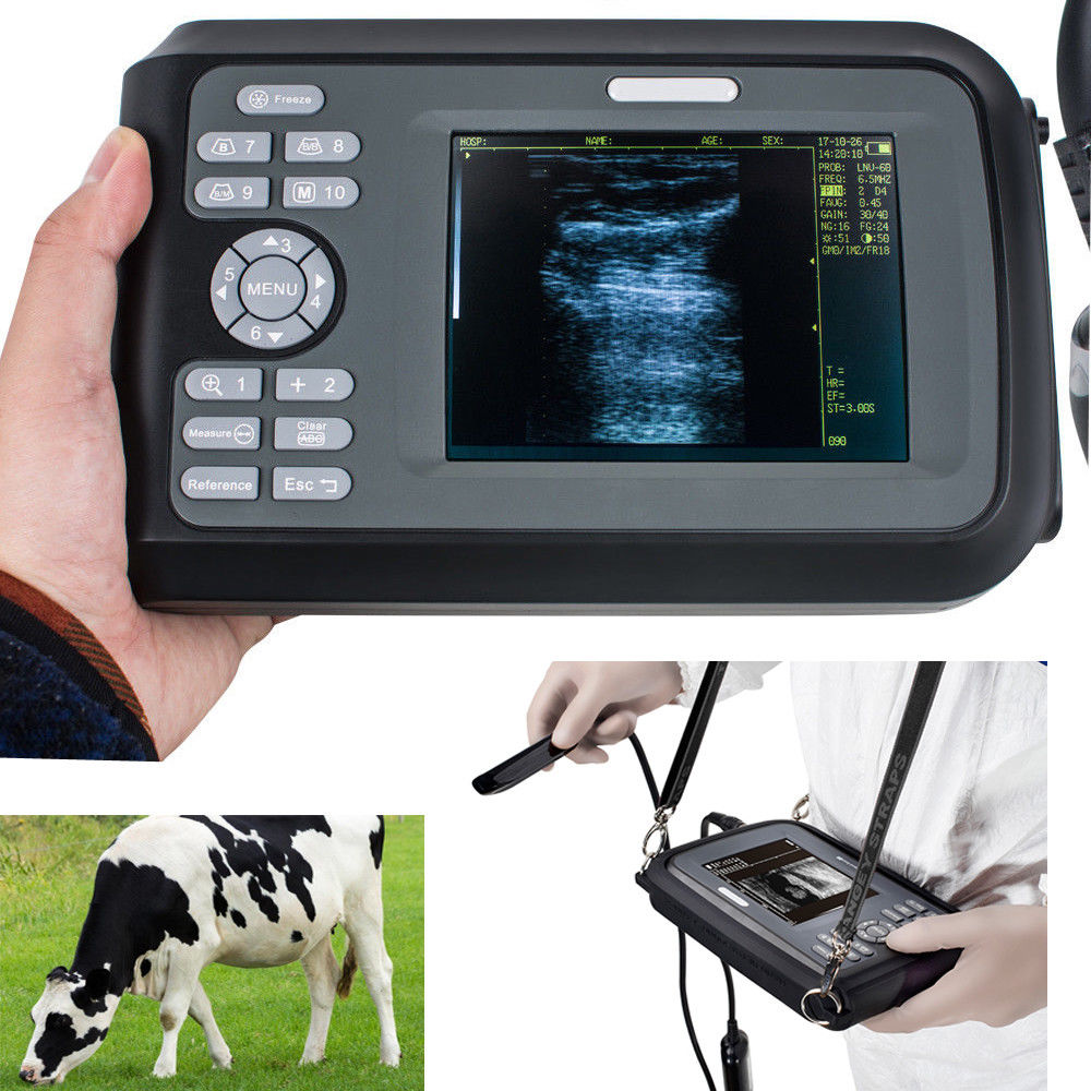 US Veterinary ultrasound scanner Machine Animal Livestock Rectal Probe ...
