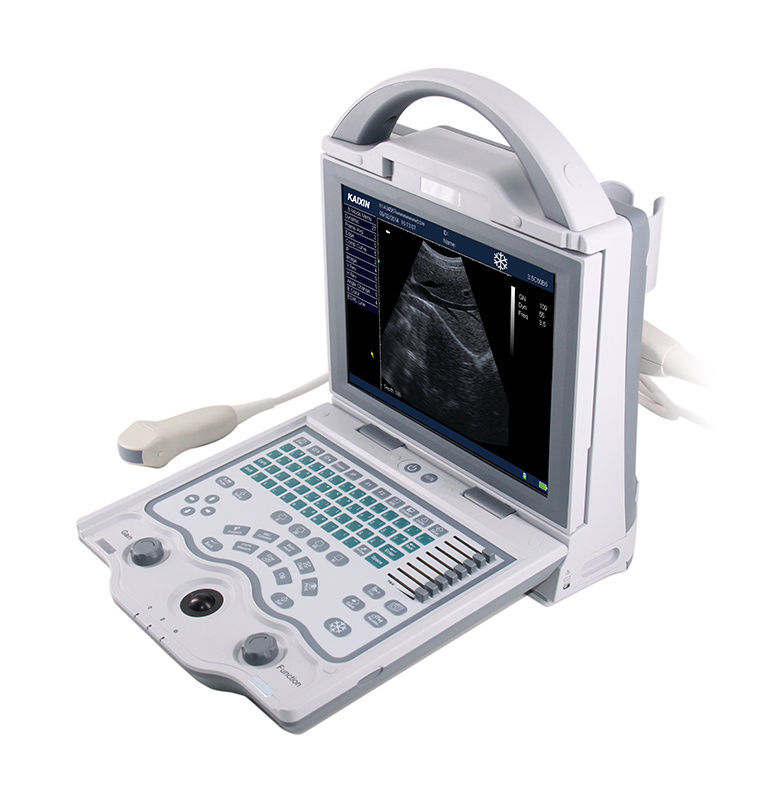 Kaixin KX5600V Portable Veterinary Ultrasound & 7.5MHz Linear Rectal P ...